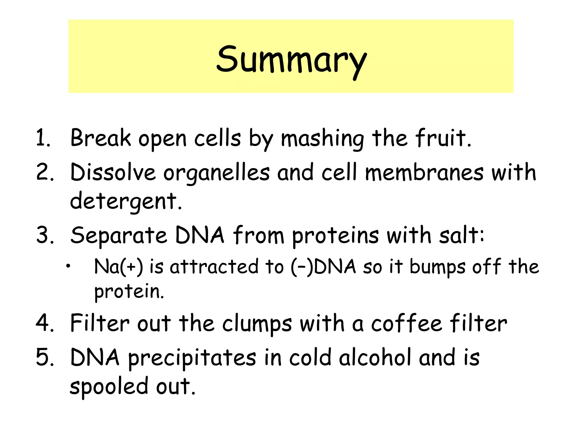 Dna extraction-principles-1204929342269384-3 | PPT