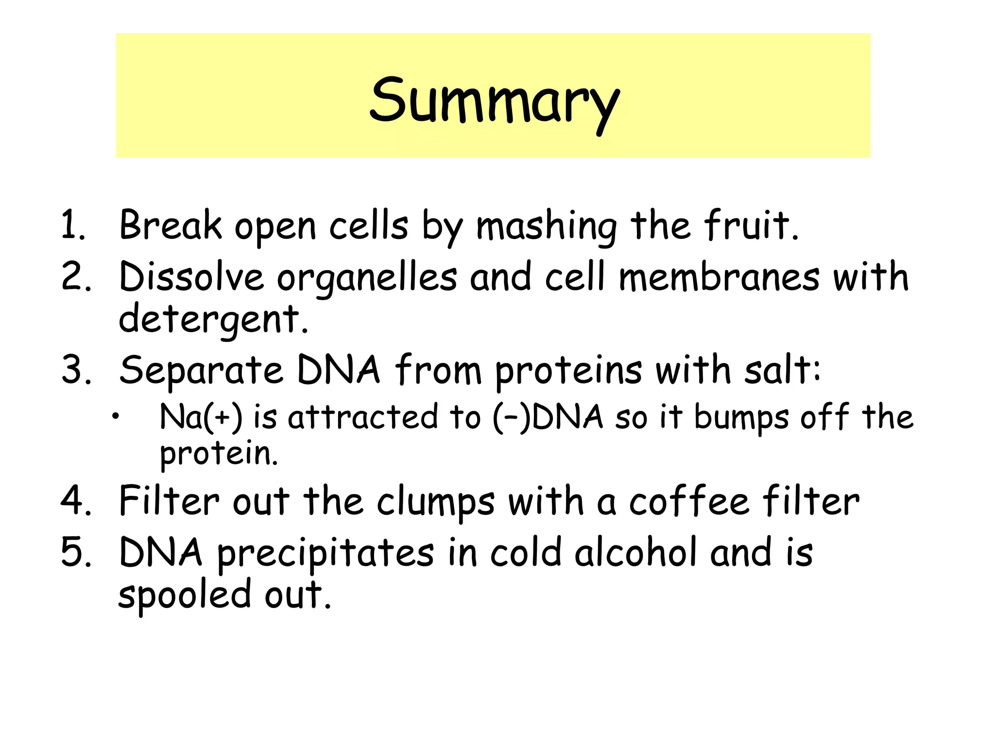 Dna Extraction Principles | PPT