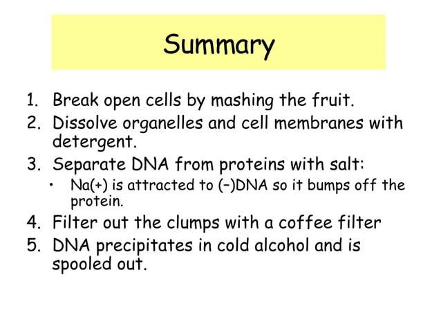 Dna Extraction Principles | PPT | Biological Sciences | Science