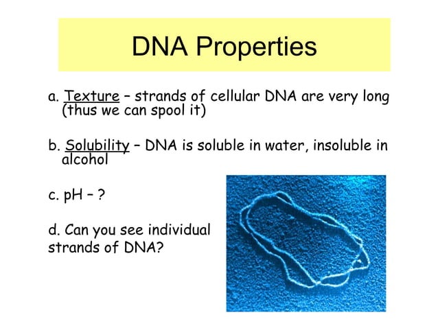 Dna Extraction Principles | PPT