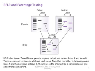 DNA-fingerprinting-2021.pdf