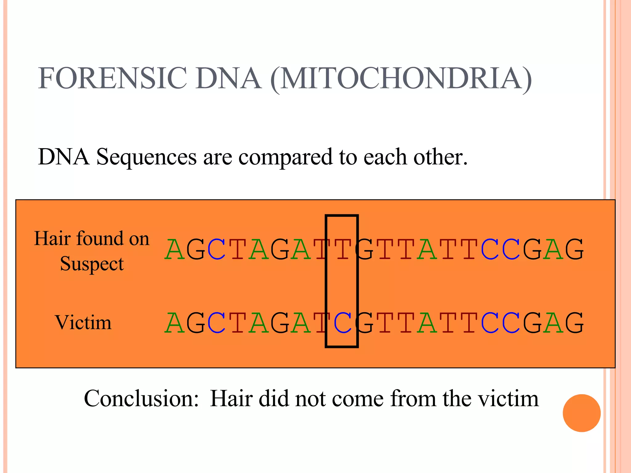 Dna Fingerprinting And Forensic Applications | PPT