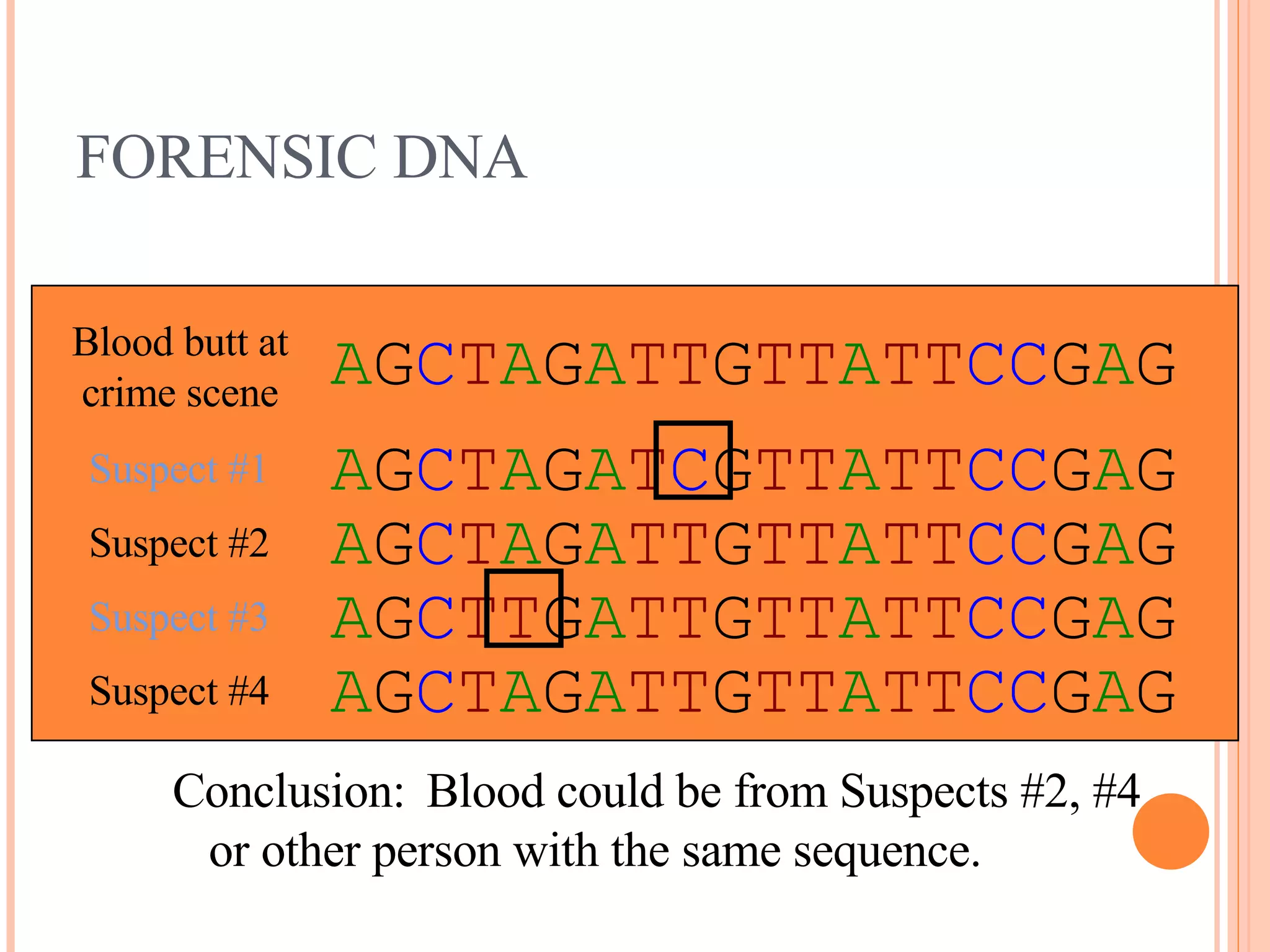 Dna Fingerprinting And Forensic Applications | PPT