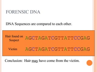 Dna Fingerprinting And Forensic Applications | PPT