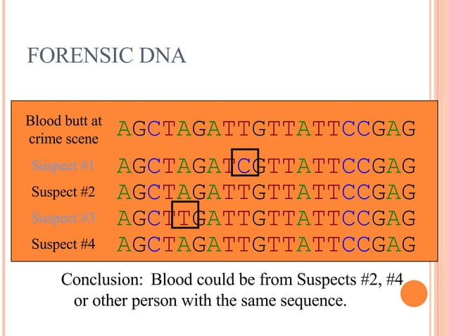 Dna Fingerprinting And Forensic Applications | PPT