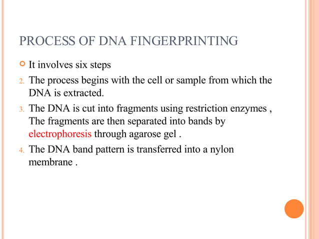 Dna Fingerprinting And Forensic Applications | PPT