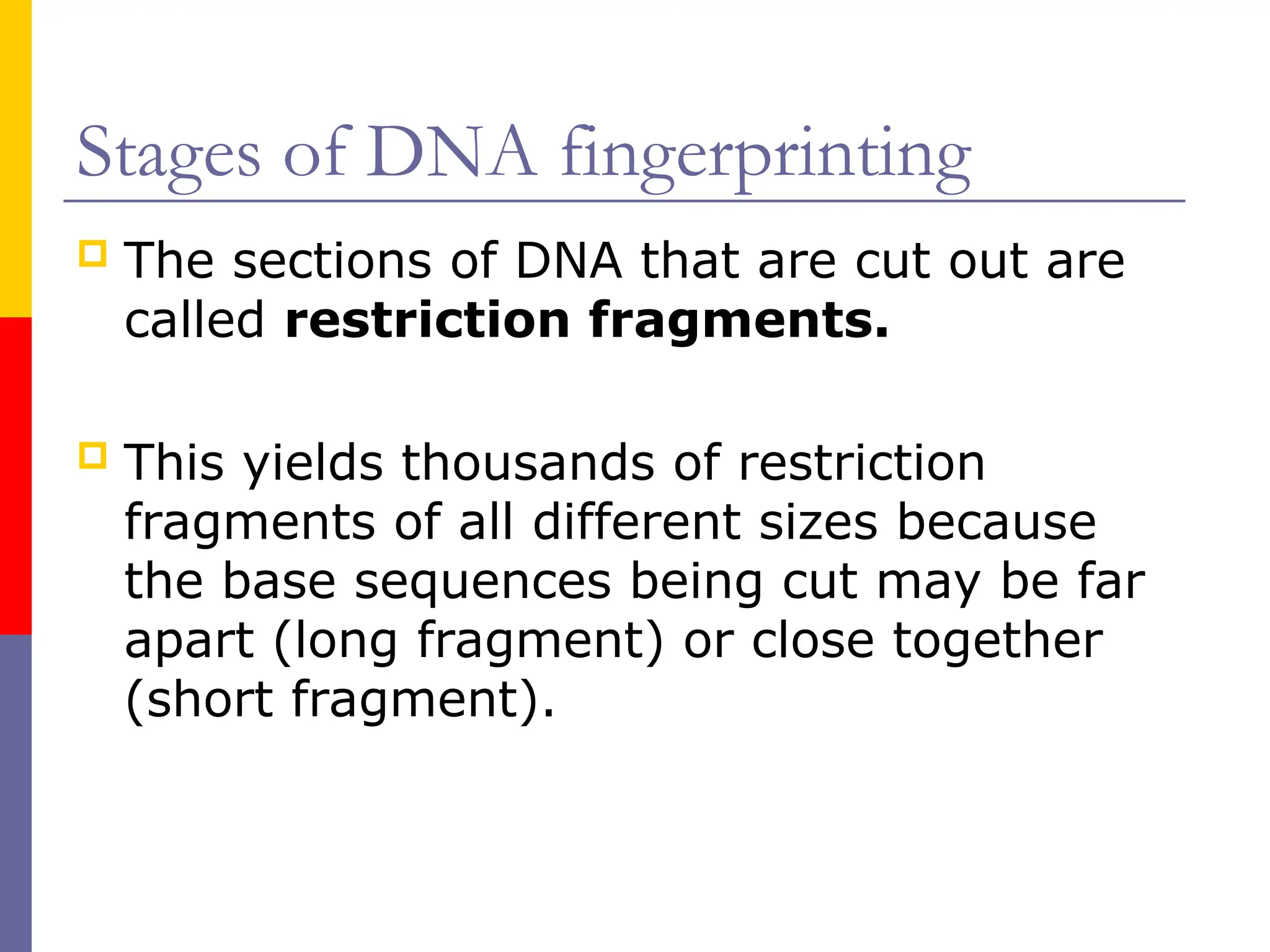 DNA-Fingerprinting power point presentation | PPT