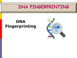 DNA-Fingerprinting power point presentation | PPT