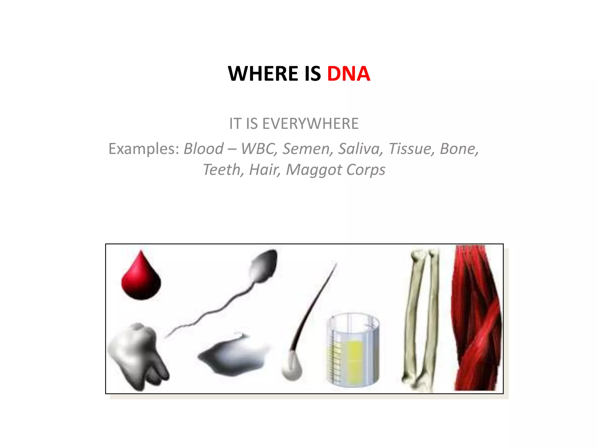 DNA FORENSIC ANALYSIS | PPTX