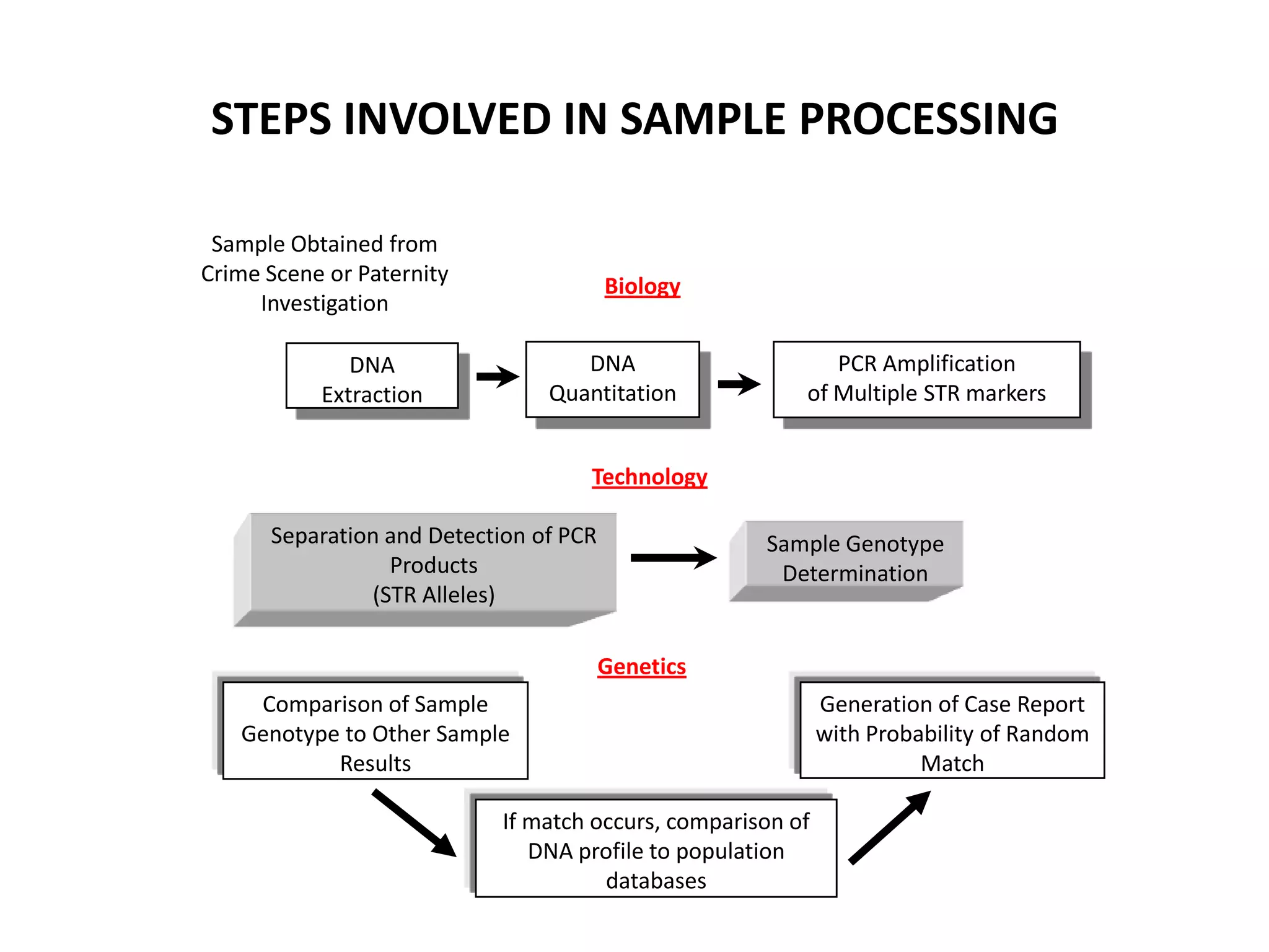DNA FORENSIC ANALYSIS | PPTX