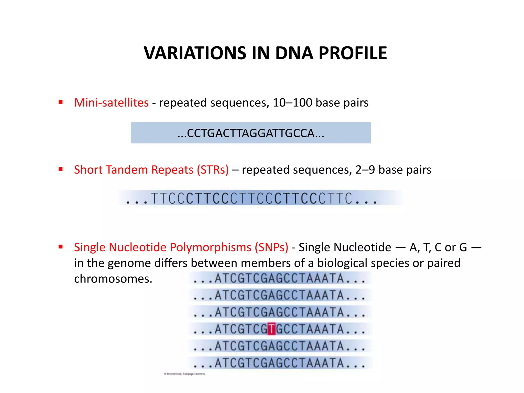 DNA FORENSIC ANALYSIS | PPTX