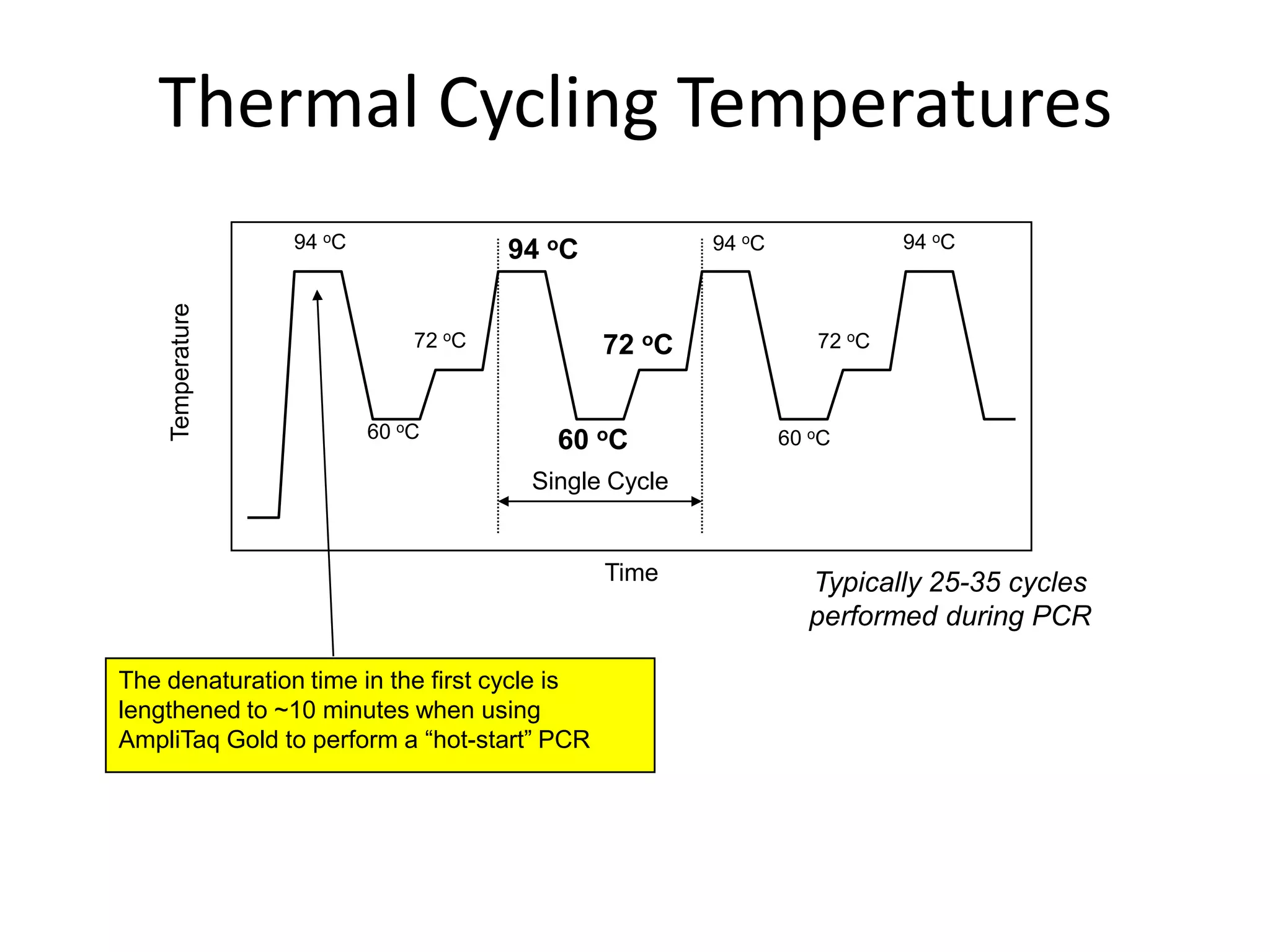 DNA FORENSIC ANALYSIS | PPTX