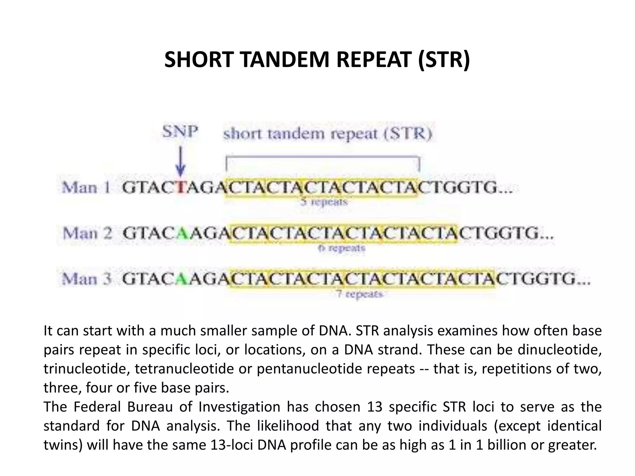 DNA FORENSIC ANALYSIS | PPTX