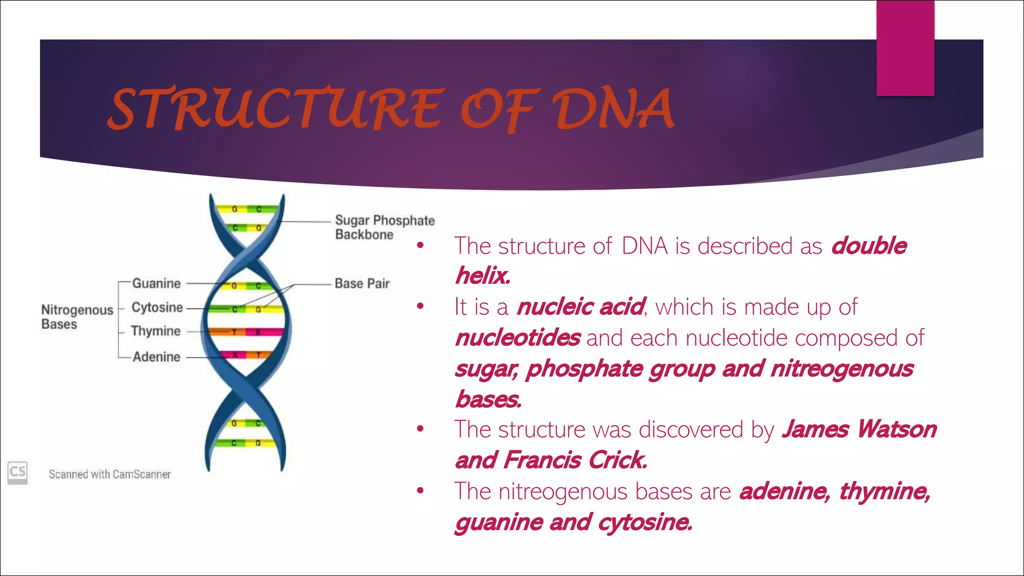 Structure and Functions of DNA. | PDF