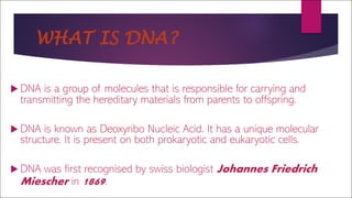 Structure and Functions of DNA. | PDF