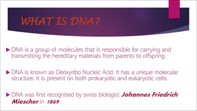 Structure and Functions of DNA. | PDF