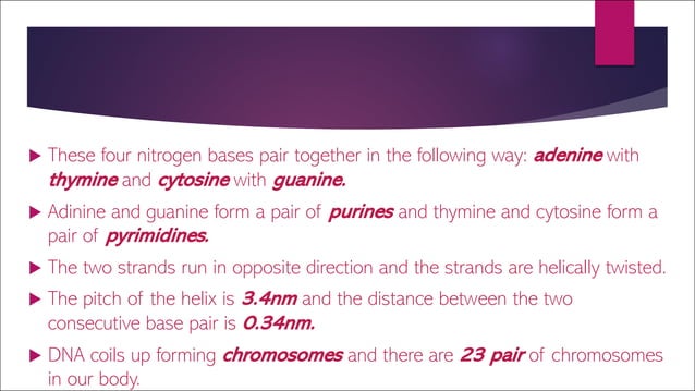 Structure and Functions of DNA. | PDF