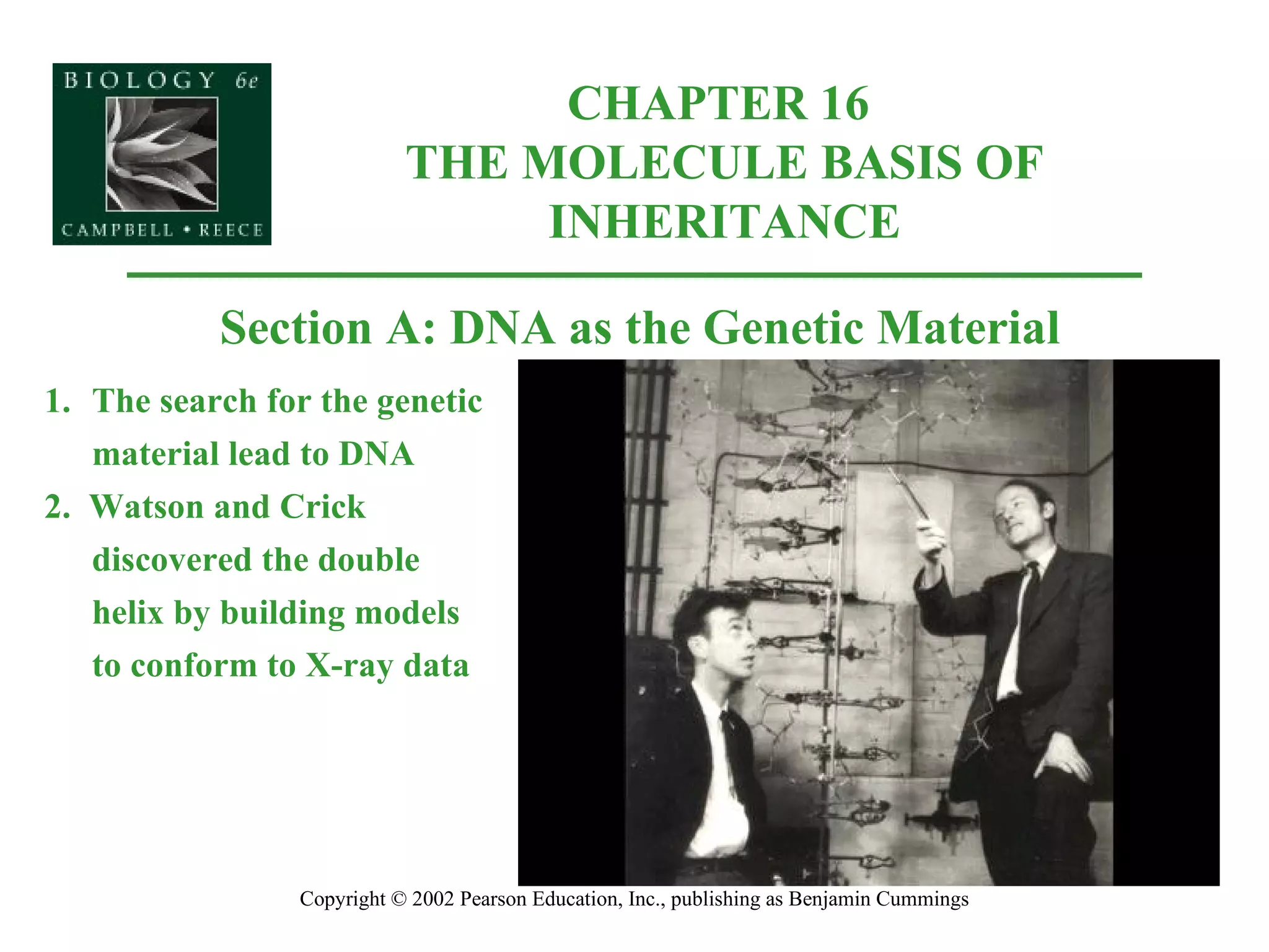 Dna History And Replication Review | PPT