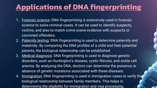 dna-nanotechnology-thesis.pptx