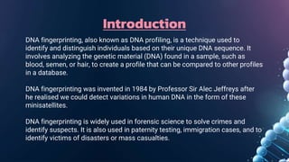 dna-nanotechnology-thesis.pptx