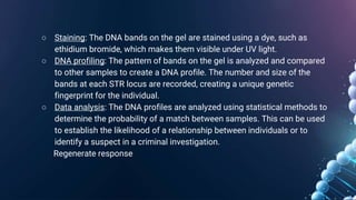 dna-nanotechnology-thesis.pptx