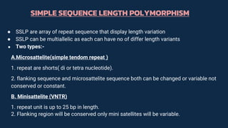 dna-nanotechnology-thesis (1).pptx