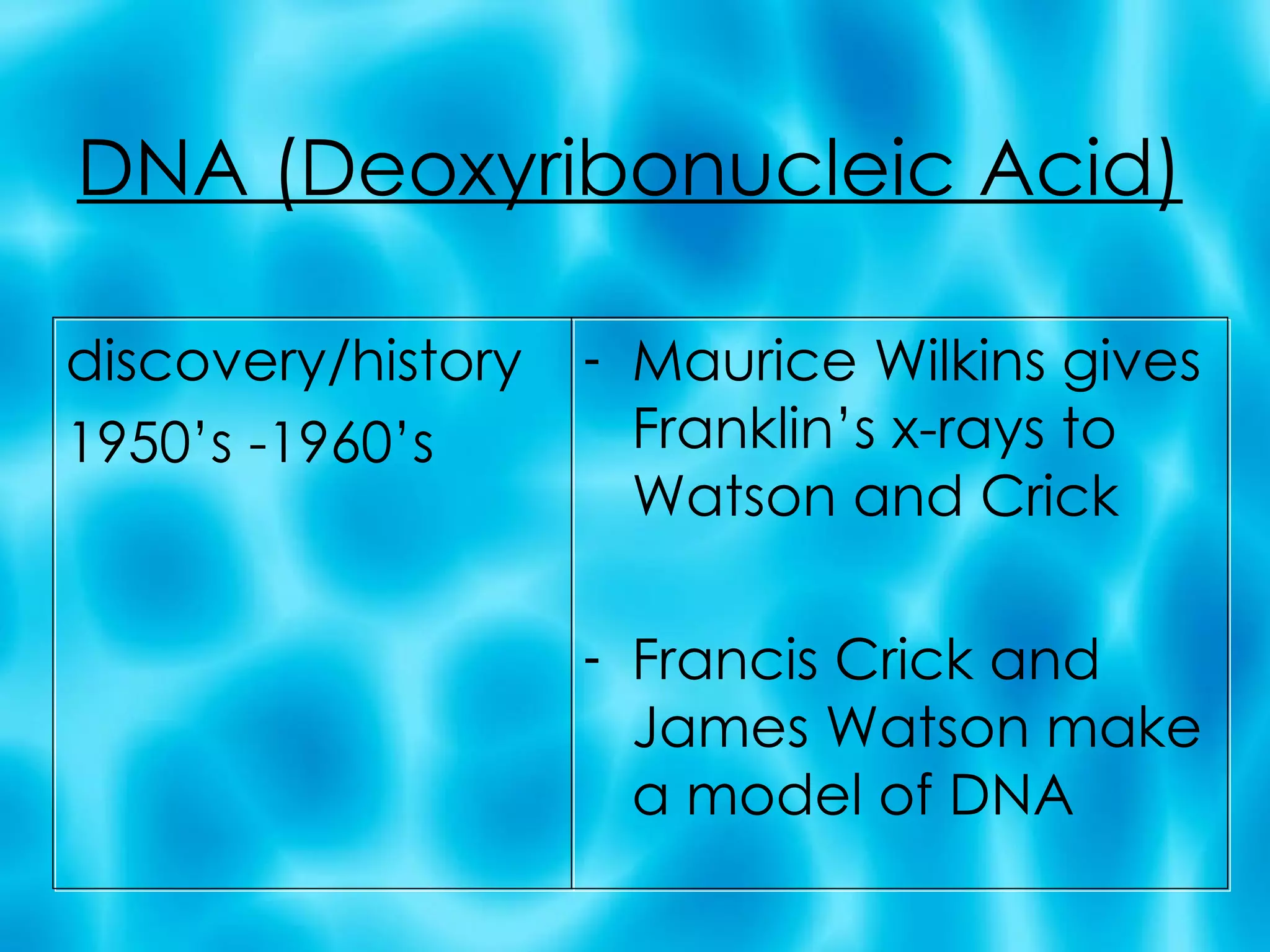 DNA Notes | PPT