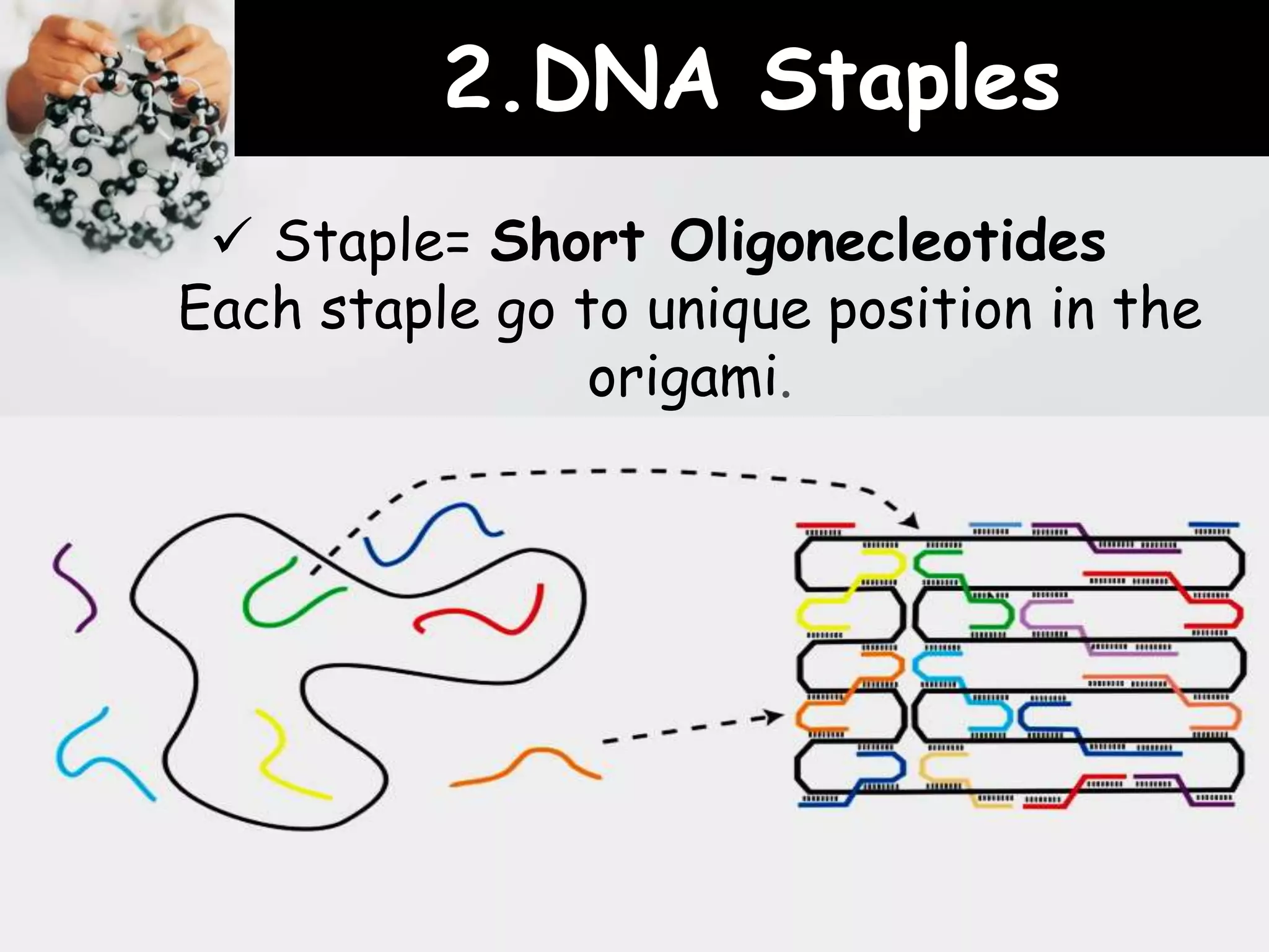 DNA Origami | PPT