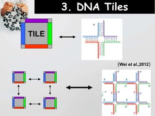 DNA Origami | PPT