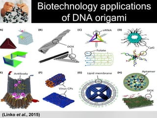DNA Origami | PPT
