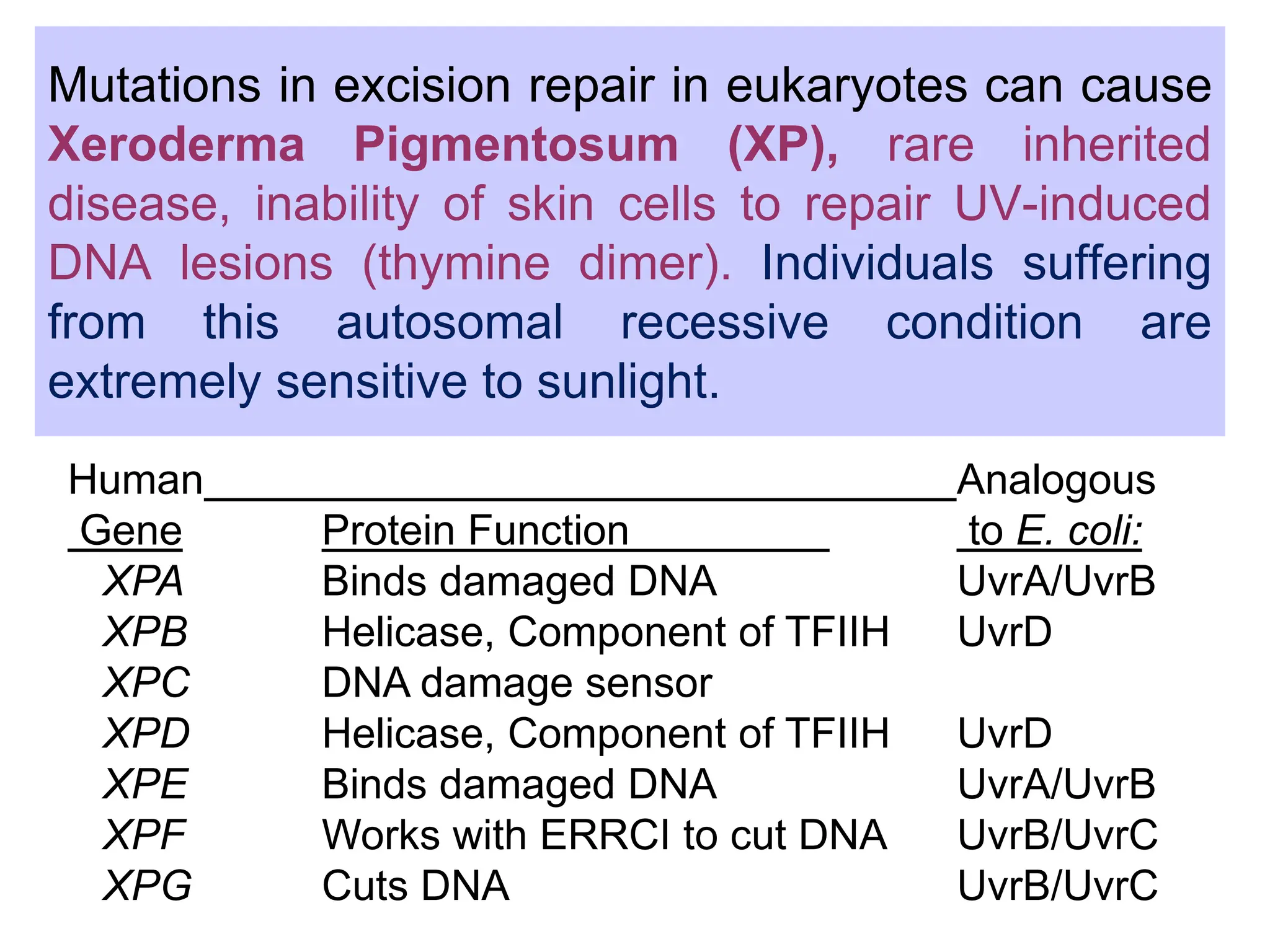DNA-Repair-Mechanisms 2.ppt DNA repair mechn | PPT