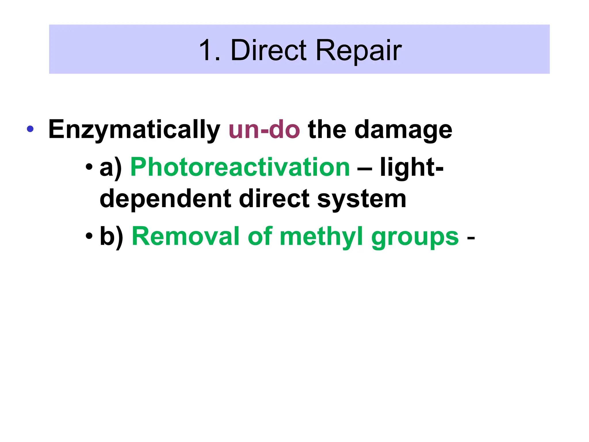 DNA-Repair-Mechanisms 2.ppt DNA repair mechn | PPT