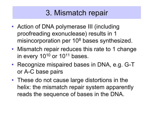DNA-Repair-Mechanisms 2.ppt DNA repair mechn | PPT