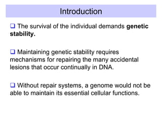 DNA-Repair-Mechanisms 2.ppt DNA repair mechn | PPT