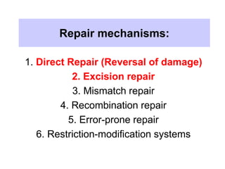 DNA-Repair-Mechanisms 2.ppt DNA repair mechn | PPT | Genetics | Science