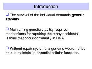 DNA-Repair-Mechanisms_3.ppt
