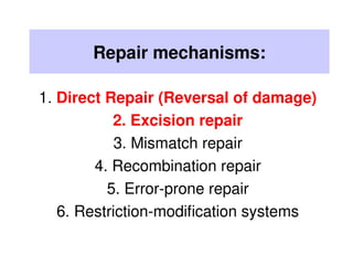 DNA-Repair-Mechanisms_3.ppt