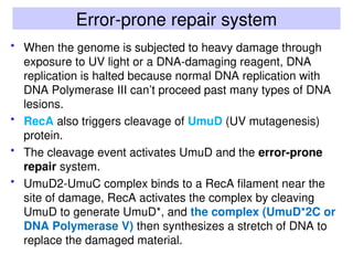 DNA-Repair-Mechanisms_3.ppt