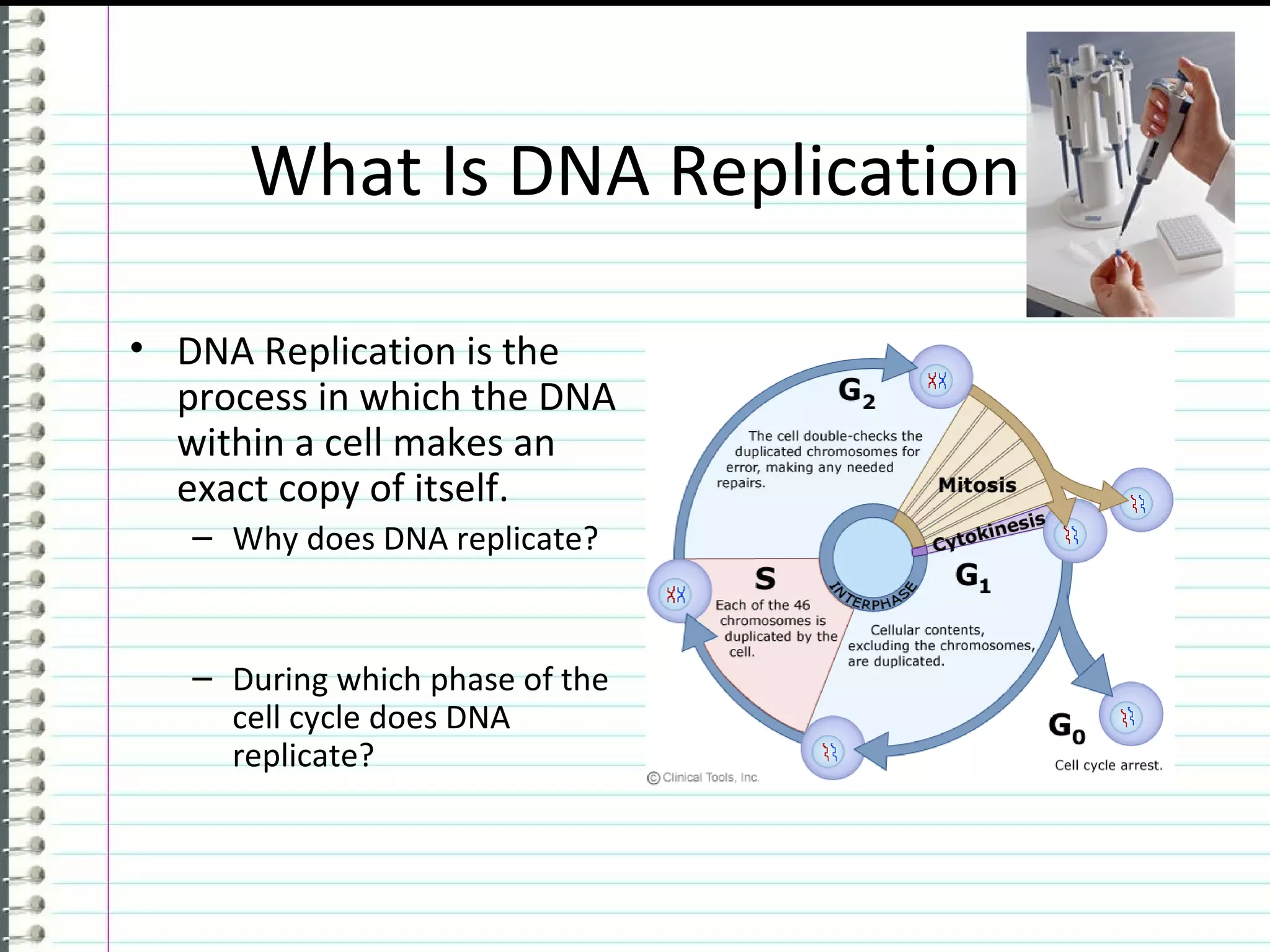 Dna replication | PPT