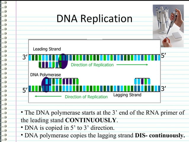 Dna replication | PPT