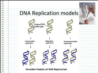 Dna replication | PPT