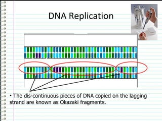 Dna replication | PPT