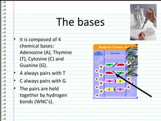 Dna replication | PPT