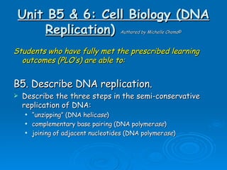 DNA replication | PPT