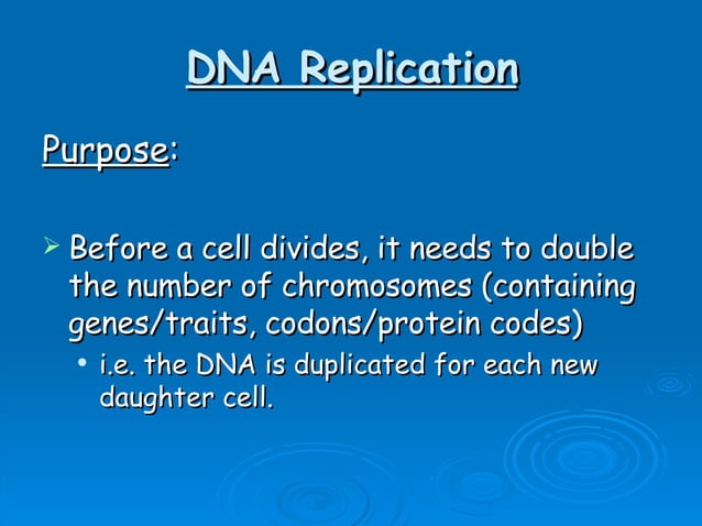 DNA replication | PPT