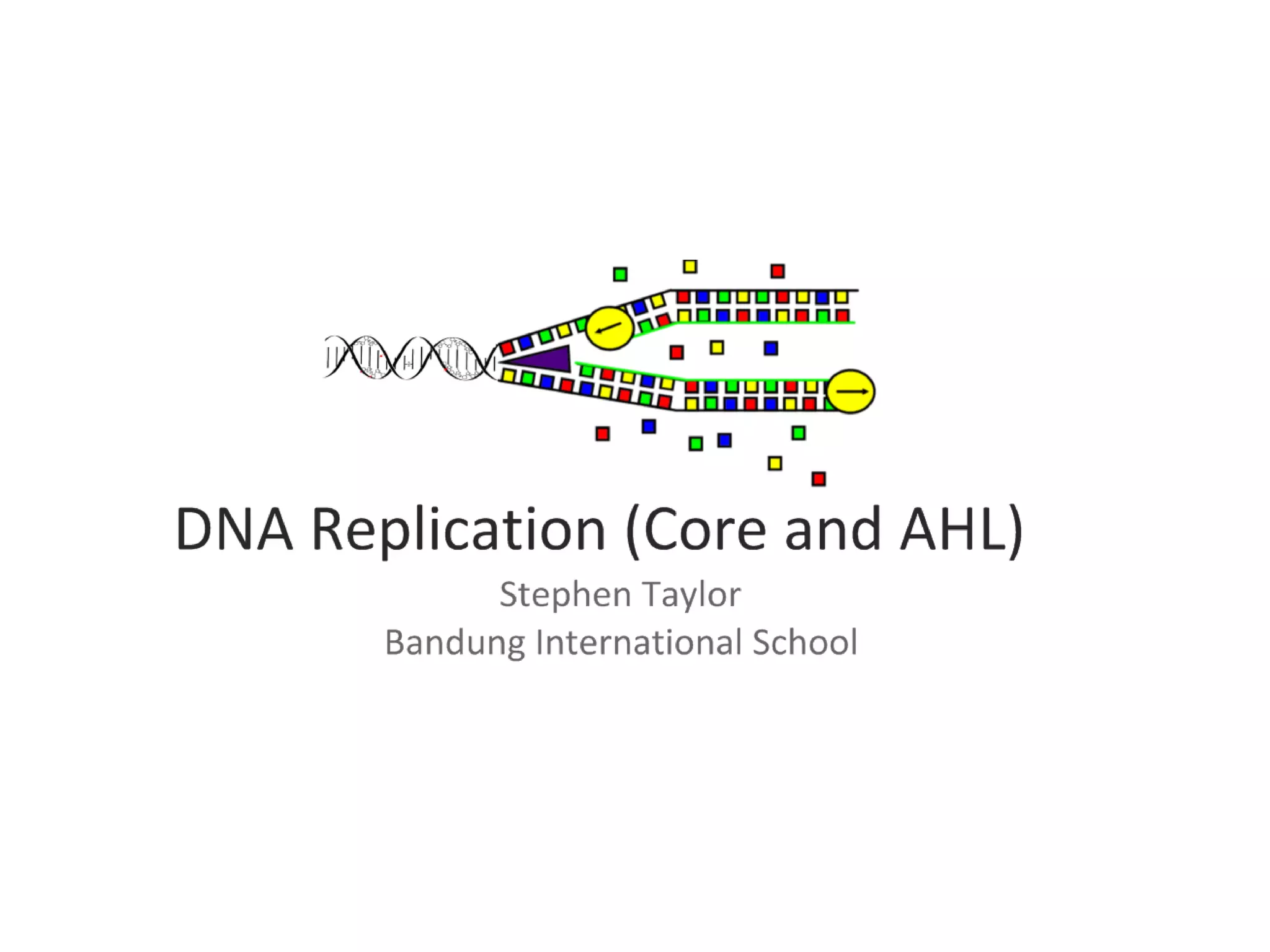 DNA Replication (Core and AHL) | PDF
