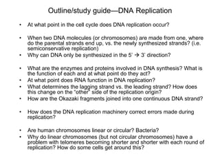 dna-replication.ppt