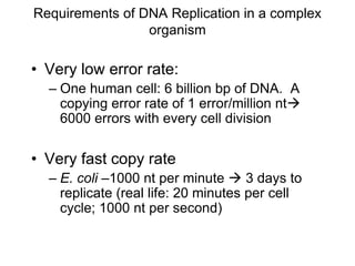 dna-replication.ppt