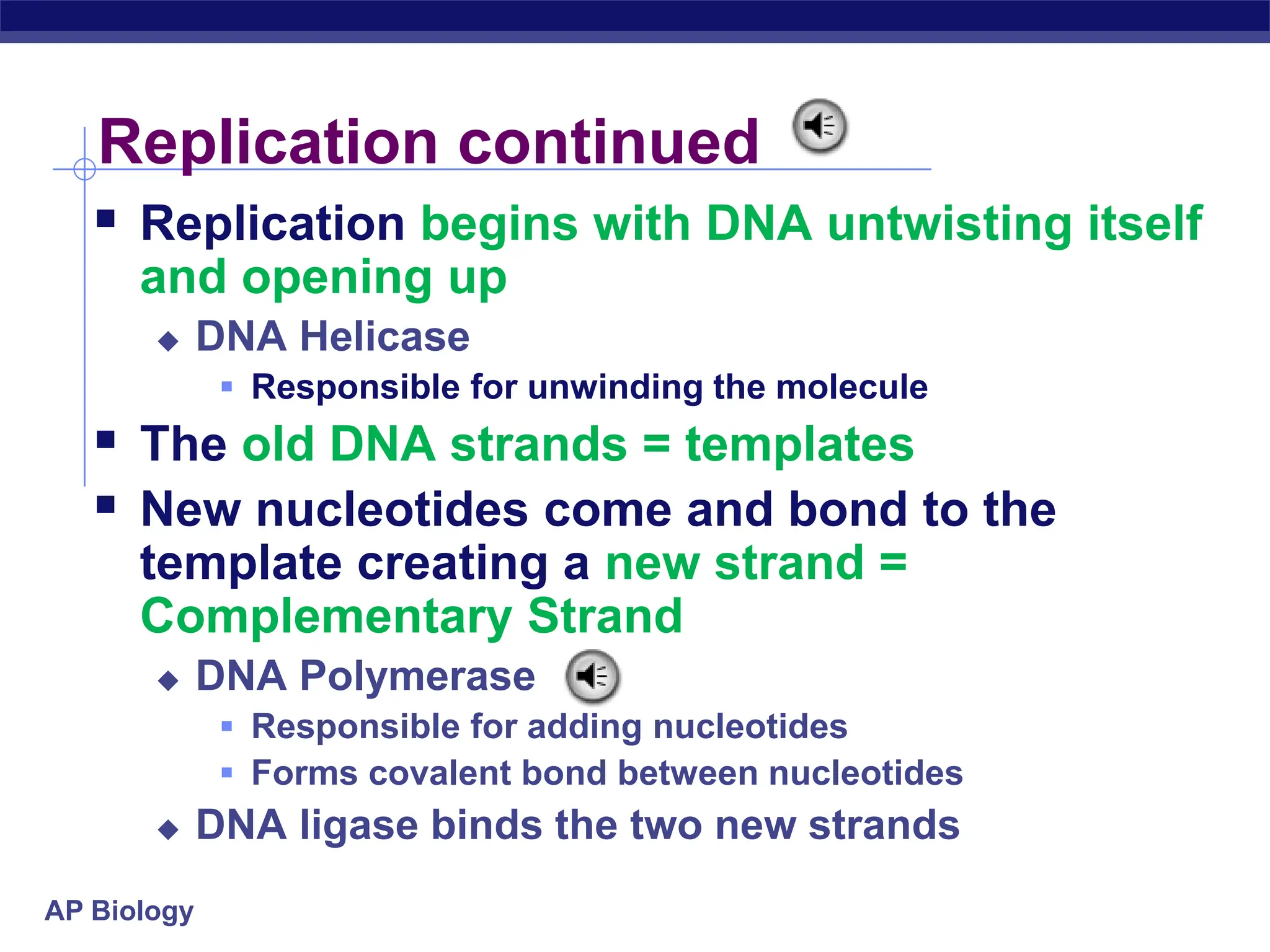 DNA-Replication biology Lesson 3rd Quarter | PPT