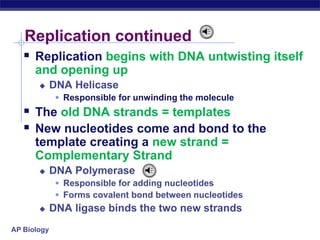 DNA-Replication biology Lesson 3rd Quarter | PPT
